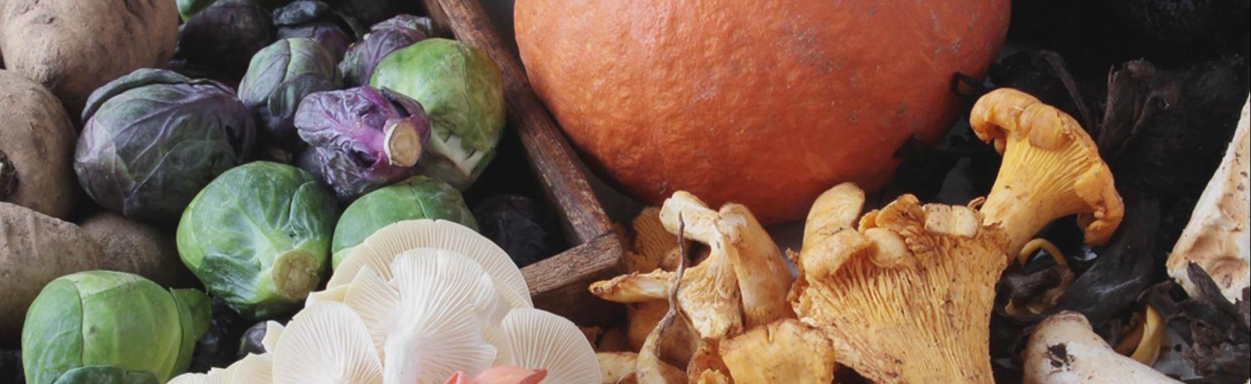 Fibre Marketing keeping it fresh with Bidfresh | Fibre Marketing